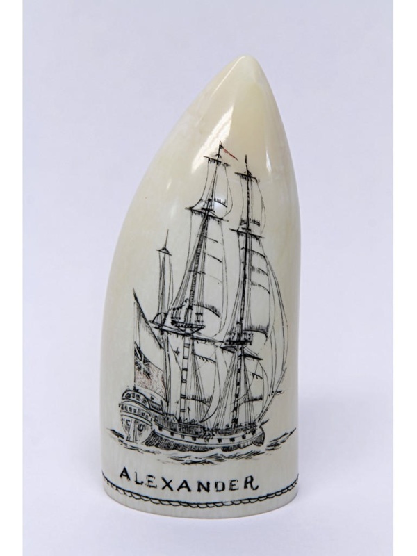 Sperm whale tooth scrimshaw of the Alexander; Rasmussen, Jesper; A_1991 ...