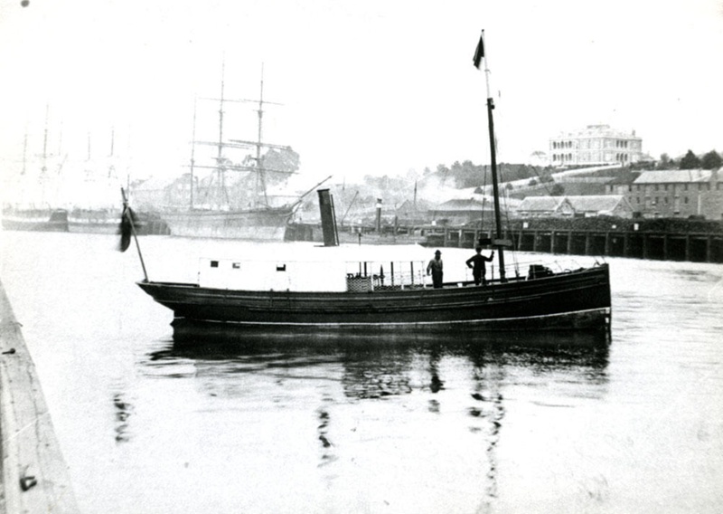 Pearl SS; P_Sle_16_25 | eHive