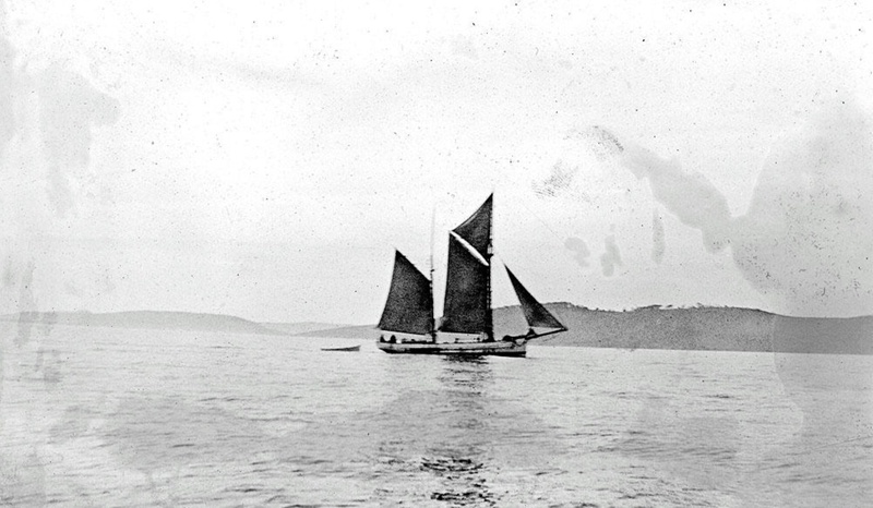 Foam; P_OM_G_7c | eHive