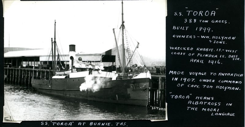 Toroa; Smith, Cyril; P_2015-0587(11)Toroa | eHive