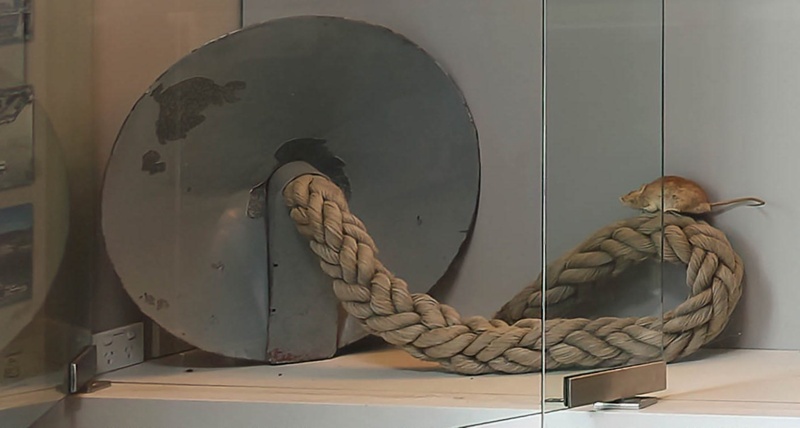 HMS Hood (?) - Ship's Rat Guard; A_2001-015 | eHive