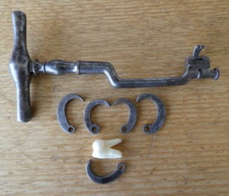 Tooth Key with 5 Additional Claws; A_2024-073 | eHive