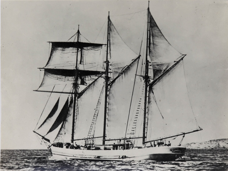 Alma Doepel; P_2013-0018 | eHive