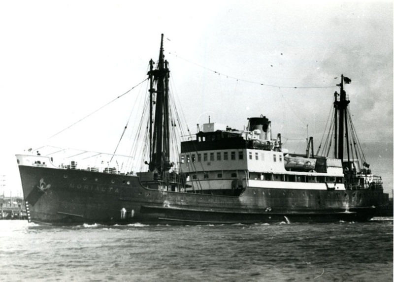 Morialta 2; P_Sle_20_39 | eHive