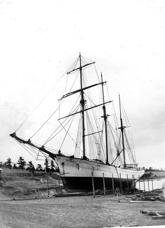 Amelia J; P_OM_D_122a | eHive