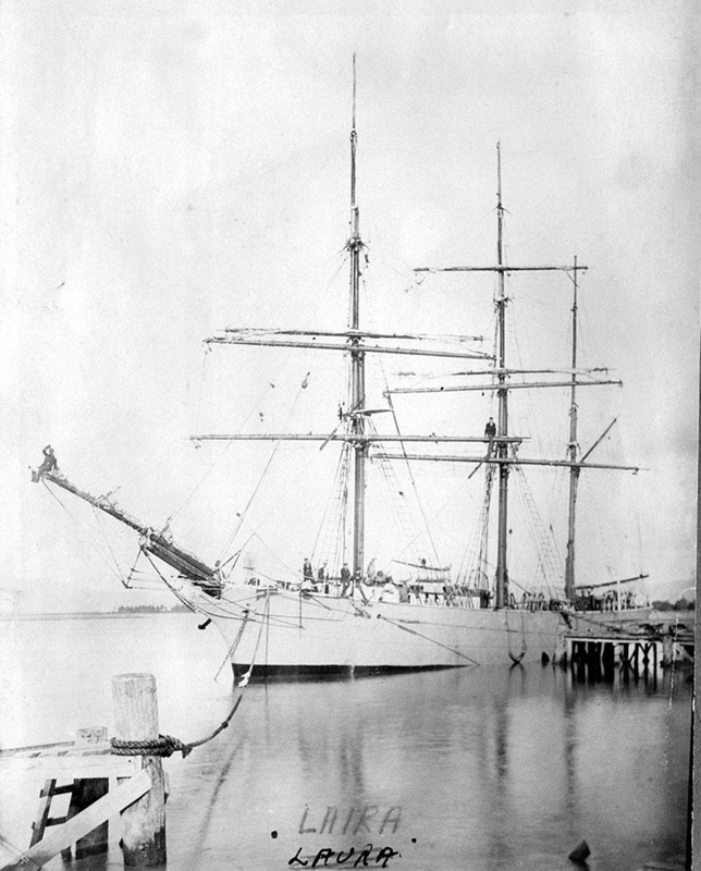 Laira; P_OM_D_78d | eHive