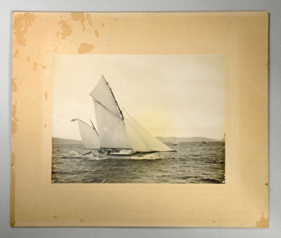 Alcides; 1908; P_2016-0145 | eHive