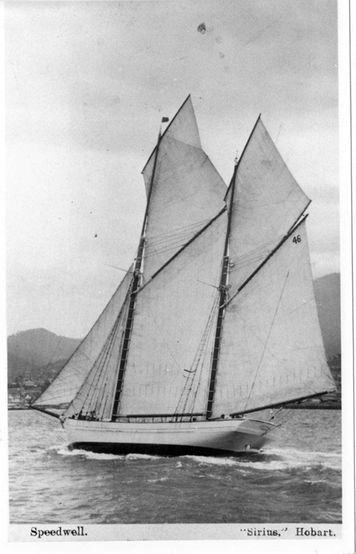 SPEEDWELL; Sirius; P_DIG_2012 | eHive