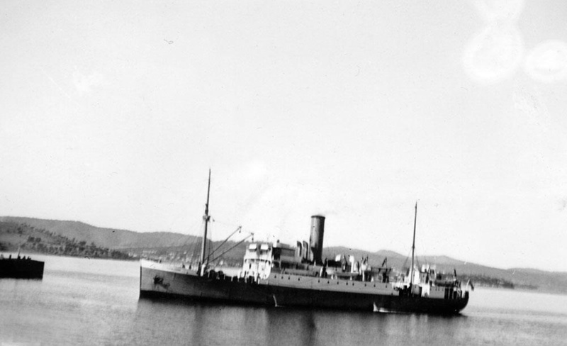 Cape York SS; P_OM_F_3b | eHive