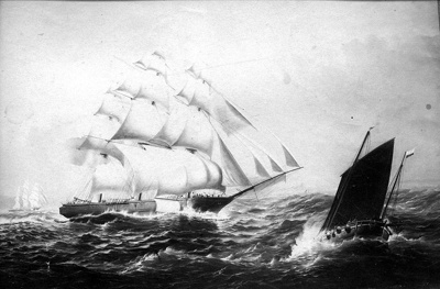 Taeping; P_OM_D_2a | eHive