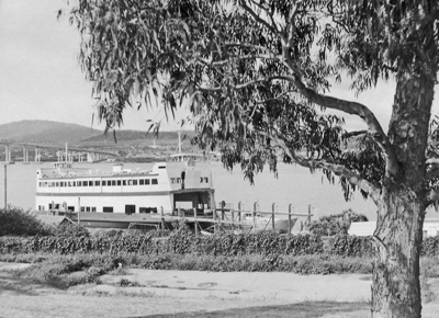 Harry O'May; Craike, John; P_CR_59073 | eHive