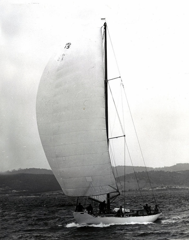 Solo; P_Y_478 | eHive