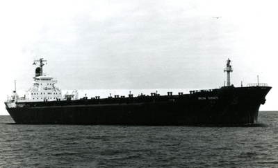 Iron Sirius; P_Sle_04_22b | eHive