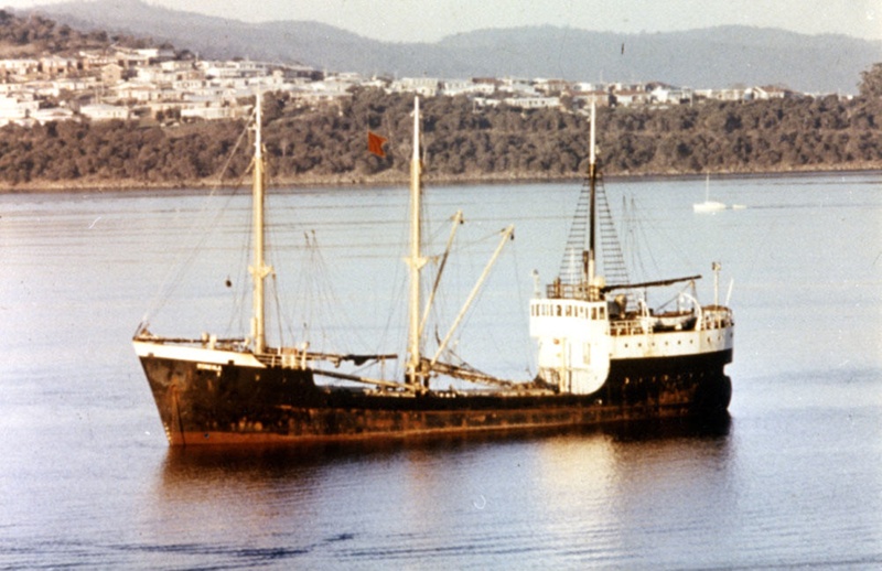 MV WONGALA ; P_Sle_15_16 | eHive