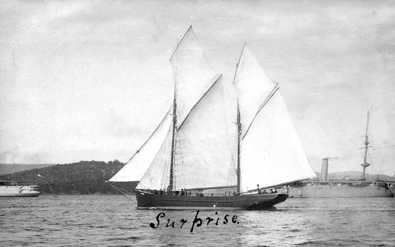 Surprise; P_OM_G_2a | eHive