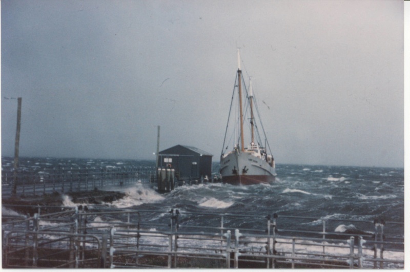 A.K.Lady Jillian ; P_DIG_2013-0017 | eHive