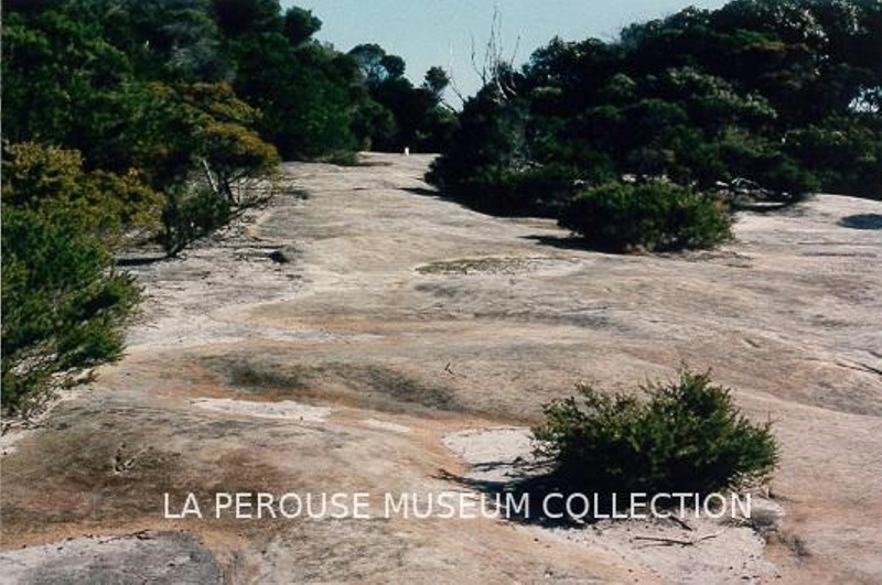 Photographic colour print of an Aboriginal Rock Carving ; Unknown ...