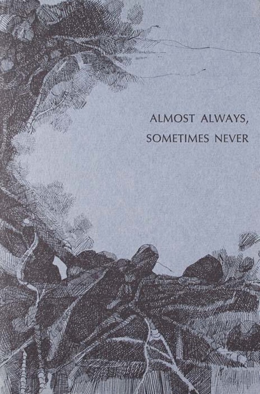 Almost always, sometimes never : a search for visual poetry; Dorsey ...