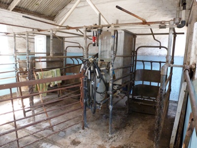 Milking Parlour; STMEA:2023-75 | eHive