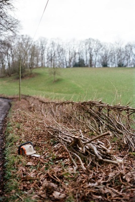 How to Lay a Hedge - Step 7 ; Angus D. Birditt; STMEA:2022-52 | eHive