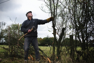 How to Lay a Hedge - Step 1 ; Nigel Adams; STMEA:2022-46 | eHive