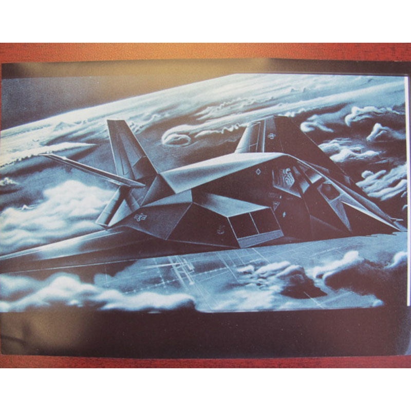 Print drawing of Stealth Bomber; TAM2012.1281 | eHive
