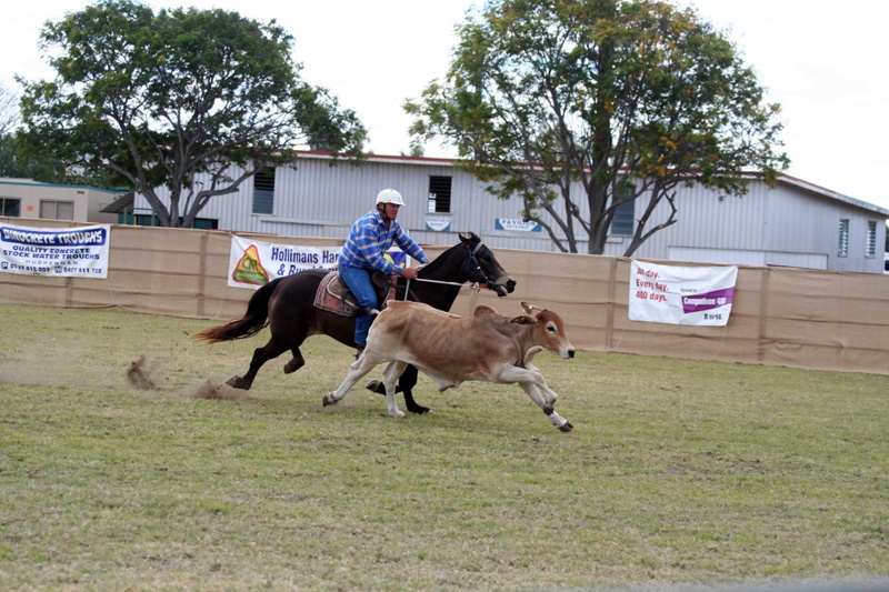 Alan Davison on Molly (horse) competing in the 2011 Hughenden Campdraft ...