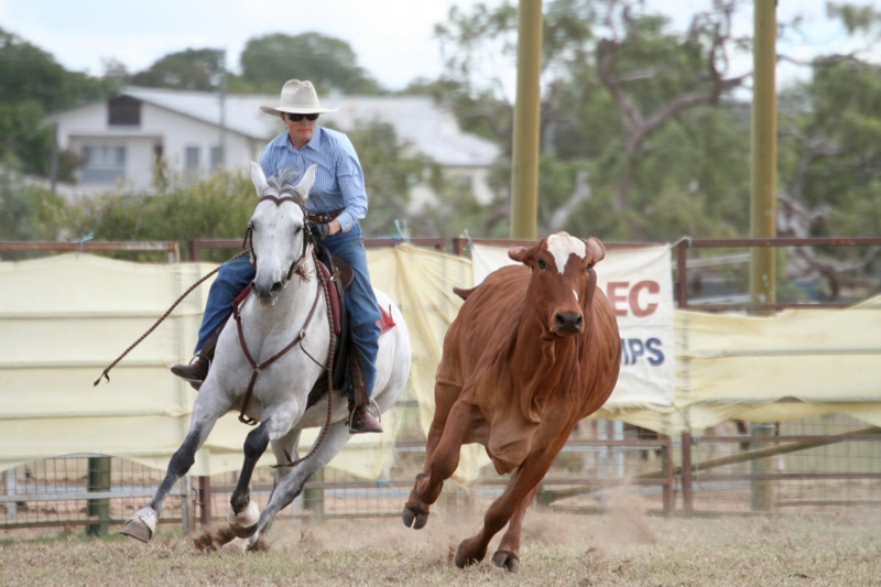 Kim Acton riding Cleo (horse) in the 2009 Hughenden Campdraft; Melissa ...