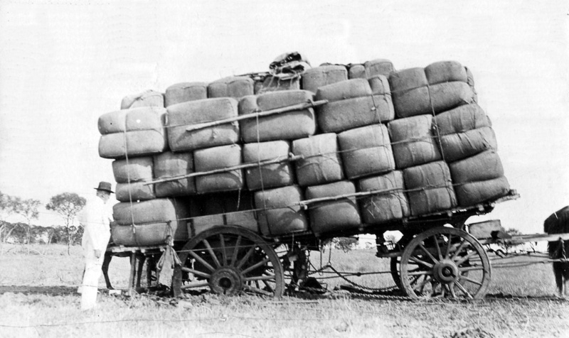 Captain Smith with bogged wool wagon, ca.1920s; Amos B. Watts; ca.1920s ...