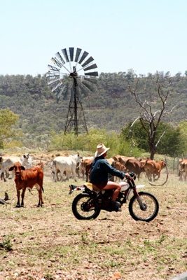 Stuart Christensen on motorbike at Mt Beckford Station, 2006; Melissa ...