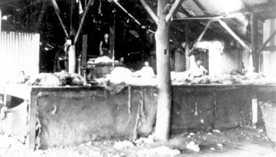Interior of Barenya shearing shed, ca.1916; Ingoldby, James; ca.1916 ...