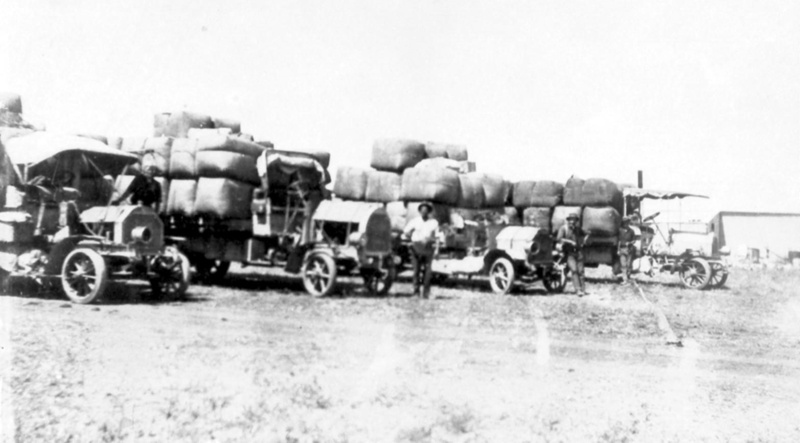 Wool trucks at Barenya Station shearing sheds ca.1916; Ingoldby, James ...