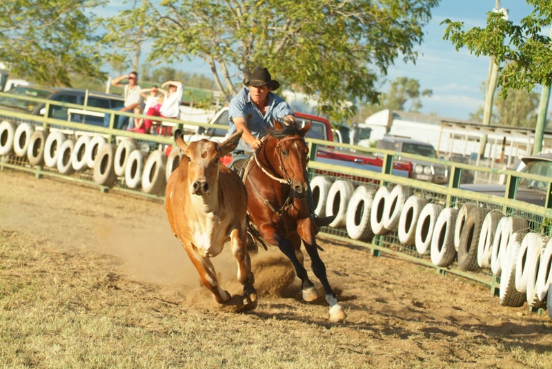 Ben Hall riding Play Rio (horse) in the 2009 Hughenden Campdraft ...