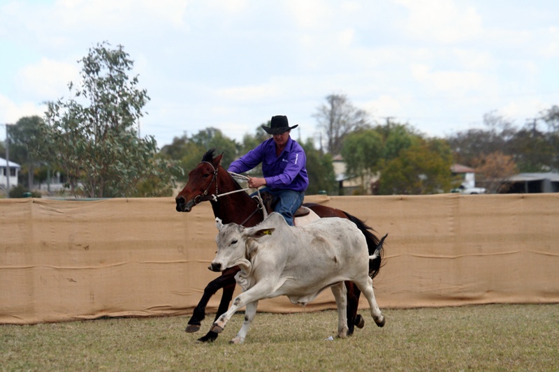 Wesley Schultz on Hawkeye (horse) competing in the 2011 Hughenden ...