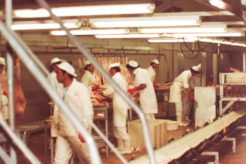 Photograph [Beef Boning Room, Mataura Freezing Works]; Green,Trevor; 20 ...