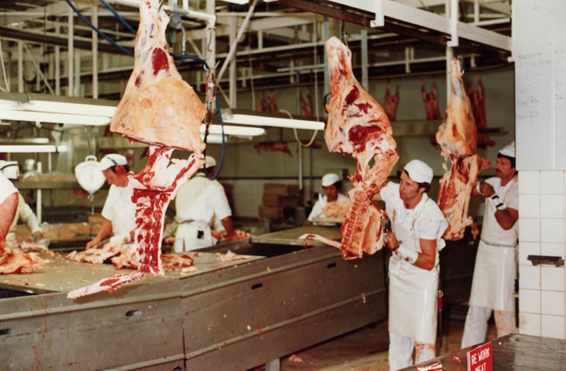 Photograph [Beef Boning Chain, Mataura Freezing Works]; Green,Trevor ...