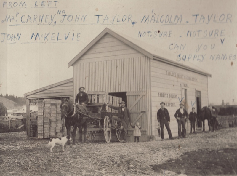 Photograph [Mataura Rabbit Factory]; Blackley, George; 1896-1900 ...