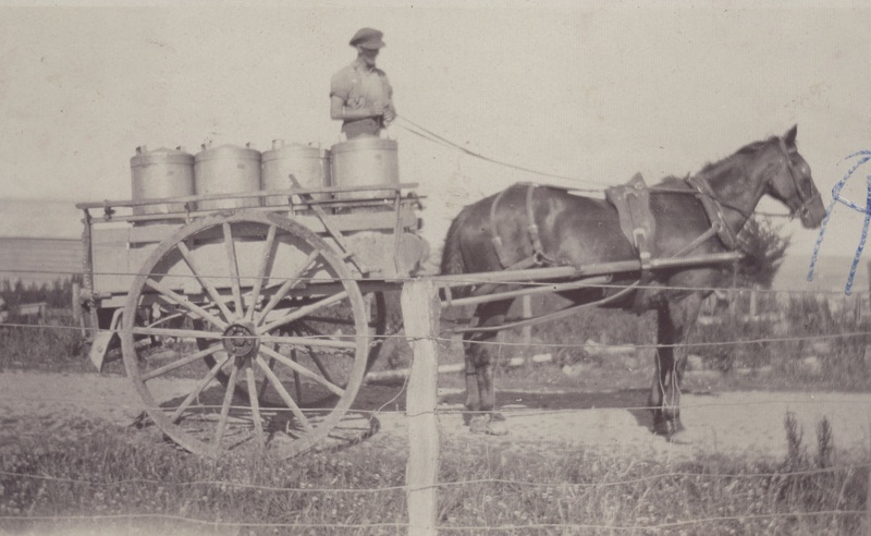 Photograph [Horse Drawn Milk Cart]; unknown photographer; 1920s-1930s ...