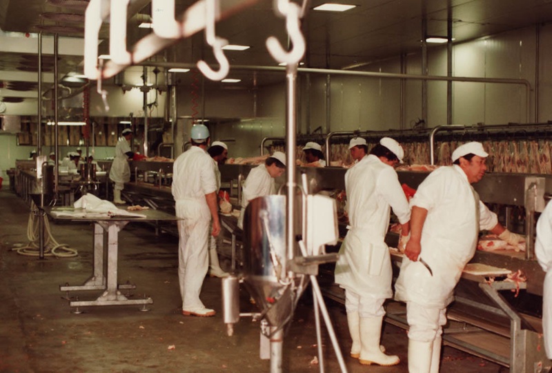 Photograph [Lamb Boning Room, Mataura Freezing Works]; Green,Trevor; 12 ...