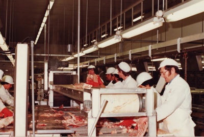 Photograph [Beef Boning Room, Mataura Freezing Works]; Green,Trevor; 25 ...