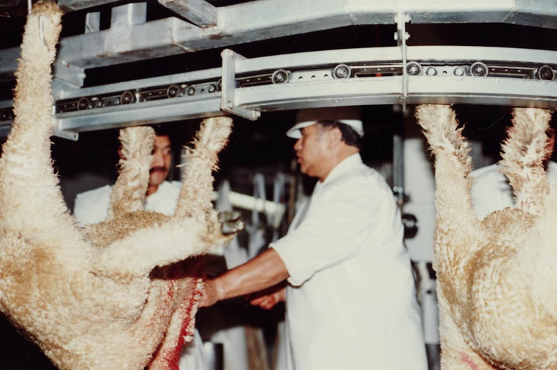Photograph [Lamb Slaughterboard, Mataura Freezing Works]; Green,Trevor ...