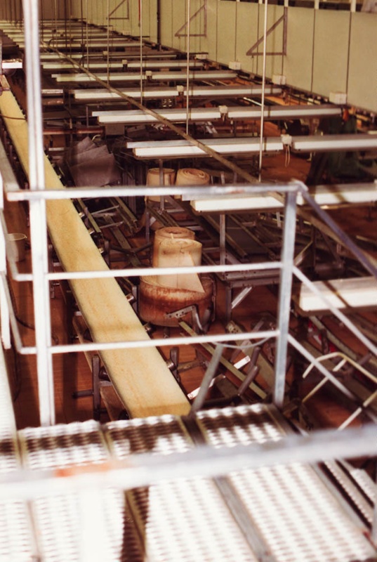 Photograph [Beef Boning Room, Mataura Freezing Works]; Green,Trevor; 06 ...
