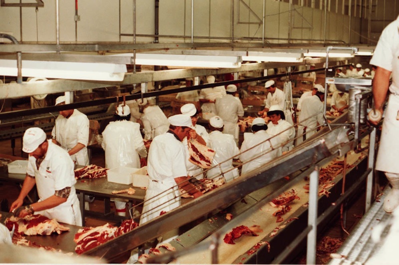 Photograph [Beef Boning Room, Mataura Freezing Works]; Green,Trevor; 25 ...