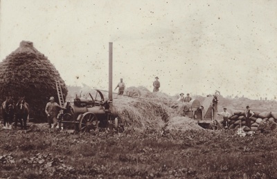 Photograph [Traction Engine & Threshing Crew at Gourlay's, Tuturau ...