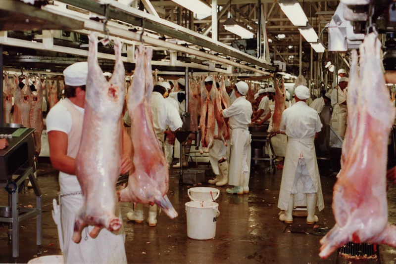 Photograph [Lamb Slaughterboard, Mataura Freezing Works]; Green,Trevor ...