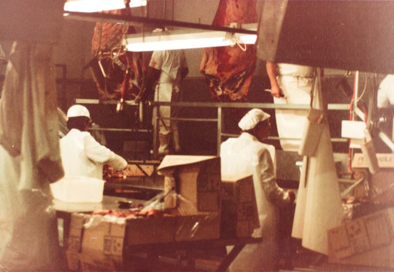 Photograph [Beef Boning Room, Mataura Freezing Works]; Green,Trevor; 09 ...