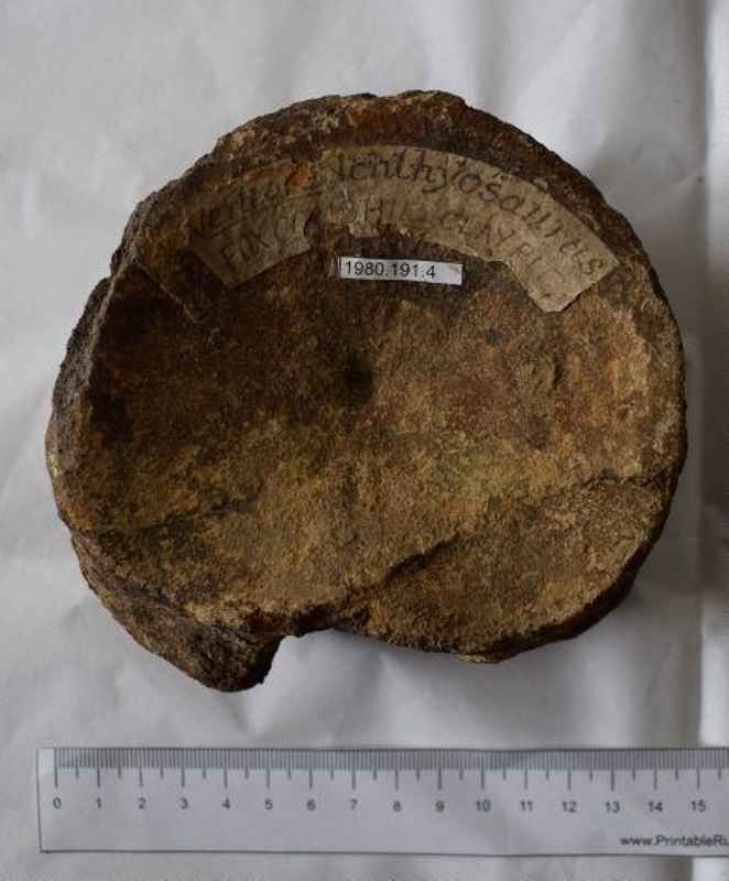 Plesiosaur vertebra ; Muraenosaurus sp.; Foxcombe Hill claypit ...