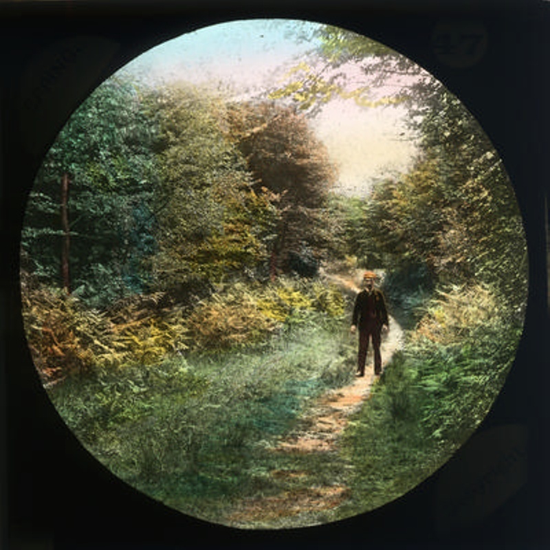 One of 12 glass lantern slides relating to Epping Forest: Forest Keeper ...