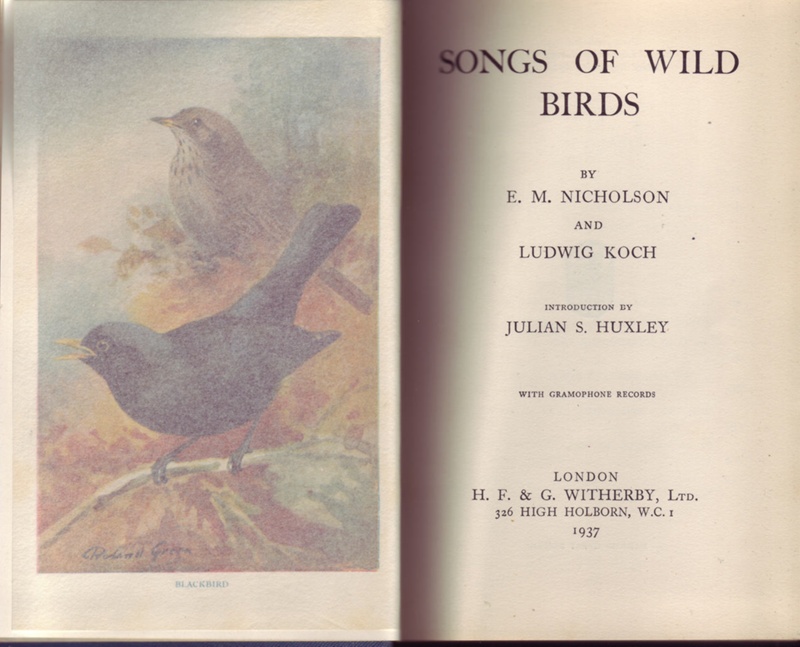 Book: E.M. Nicholson & Ludwig Koch, Songs of Wild Birds, 1937. No dust ...