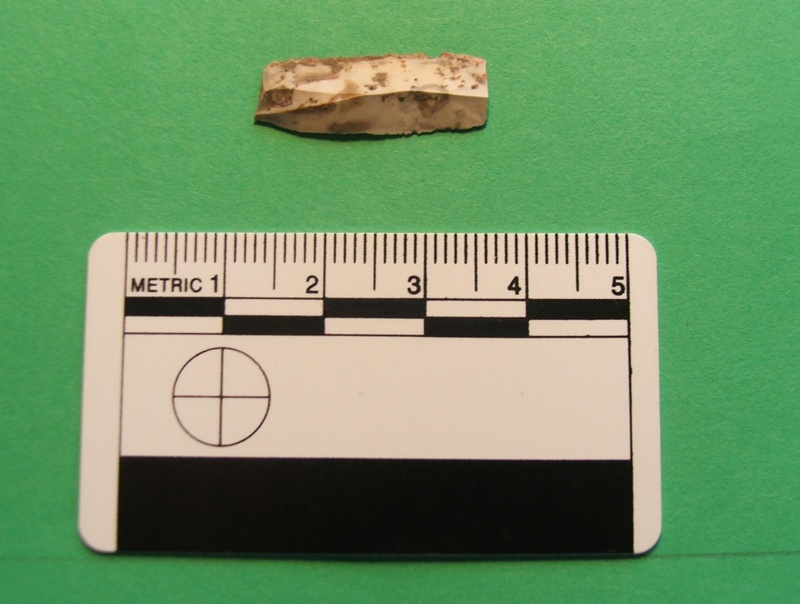 Flint Blade; 004 | eHive